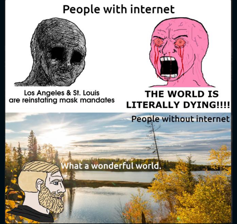 Memes - Hilarious Chaos