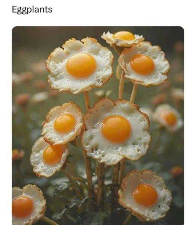 Memes - Hilarious Chaos